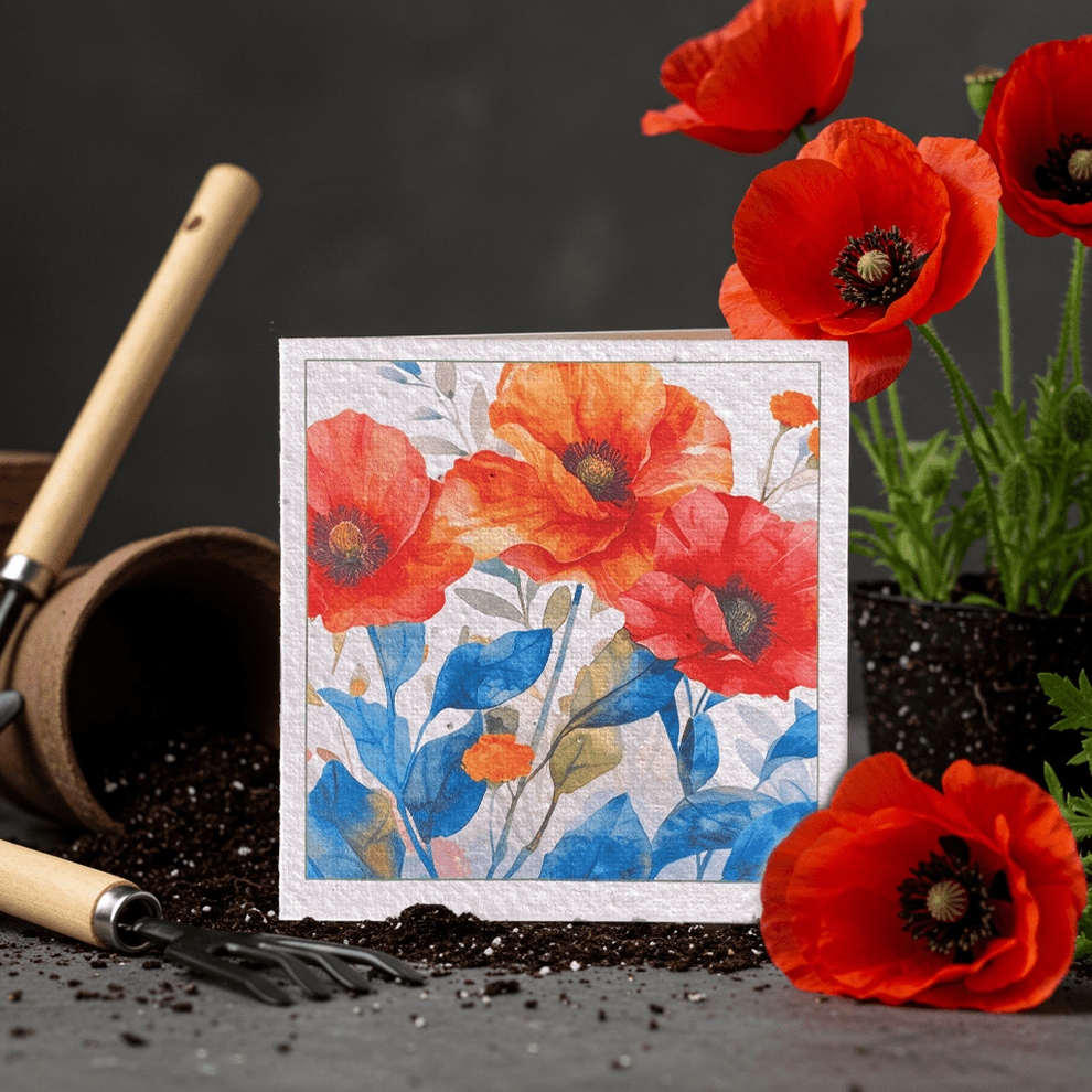 Plantable Greeting Card with Plantacard - Cards That Grow, 100% ...